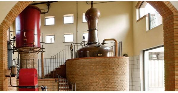 Visita Tecnica Distillerie Bonollo Umberto S.p.A.